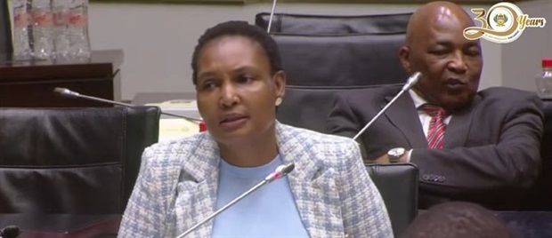 WRAP | 'I don't have a choice to be investigated or not' over VBS loan ...
