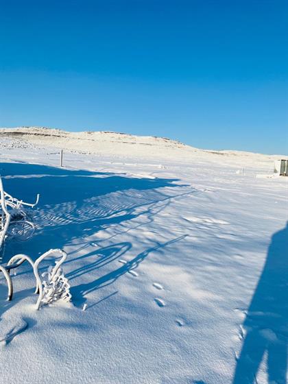 SEE | Light snowfall blankets Sani Pass in KZN | News24