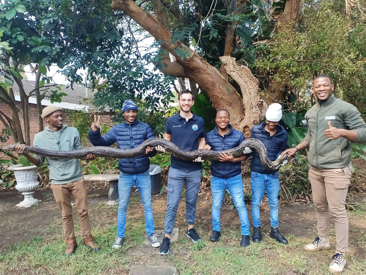 Tamaai luislang in suikerrietland in KZN gevang | Netwerk24