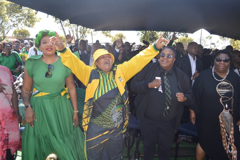 WATCH: ANC leaders honour Oliver Tambo | Daily Sun