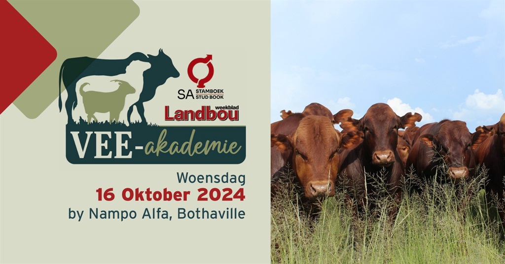 Vee-akademie: Oplossings vir die veebedryf | Landbou