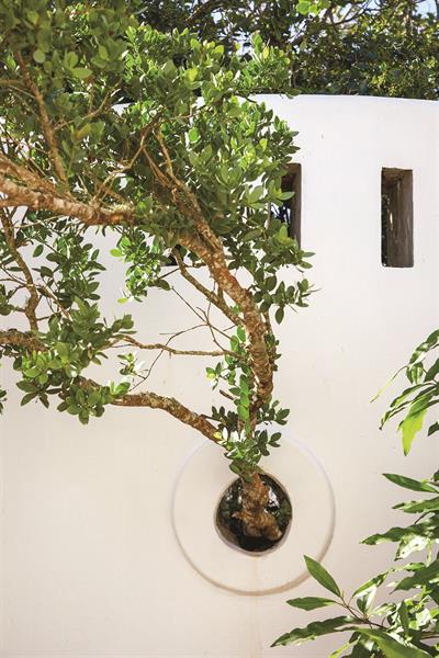 Style update: 25 ways to create the ultimate stoep | News24