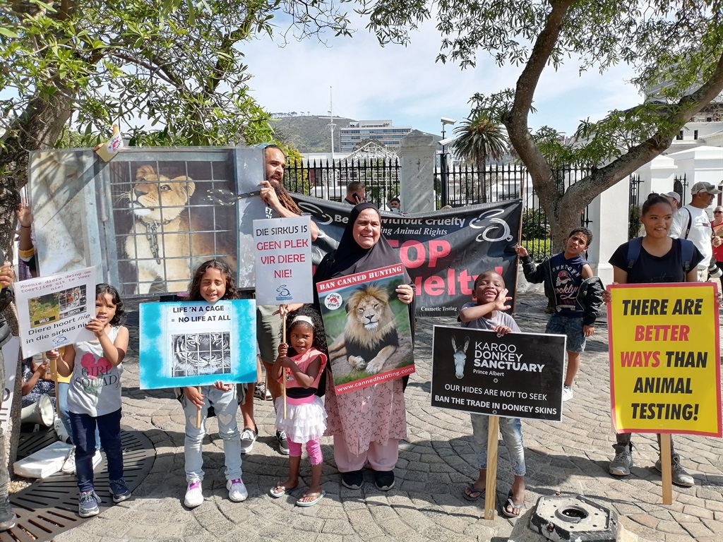 WATCH | World Animal Day protest urges Parliament to prioritise animal ...