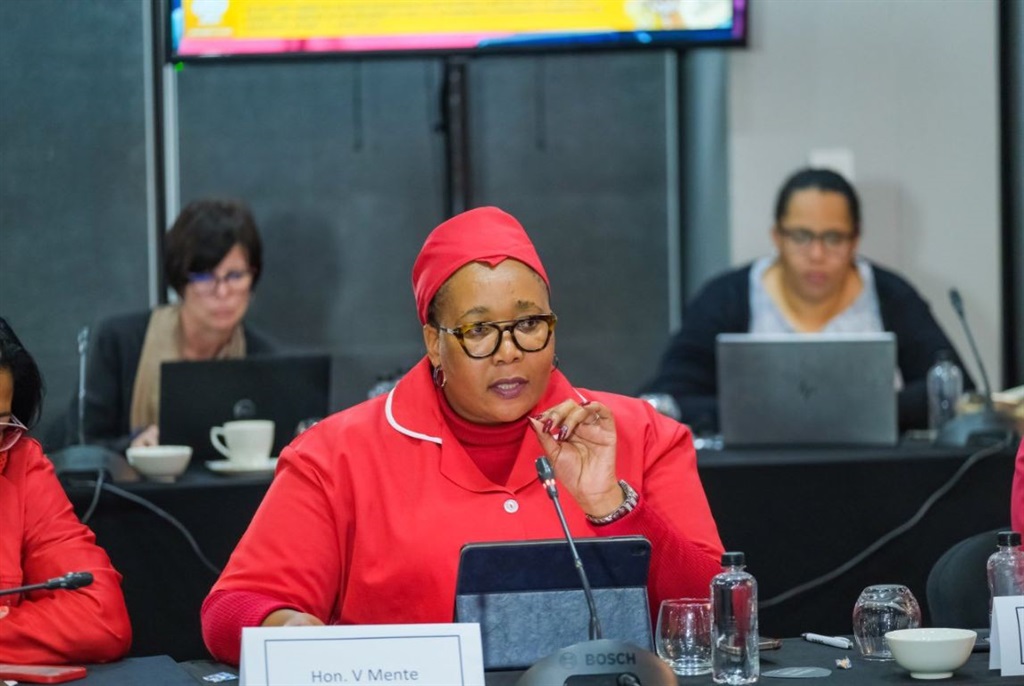 EFF: 'Lies' about arrests devastate victims | Daily Sun