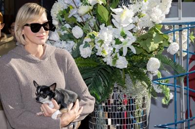 SEE THE PICS: Princess Charlene shows off new pup at Monaco charity dog ...