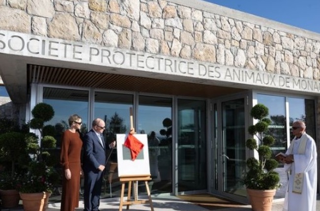 SEE THE PICS: Princess Charlene shows off new pup at Monaco charity dog ...