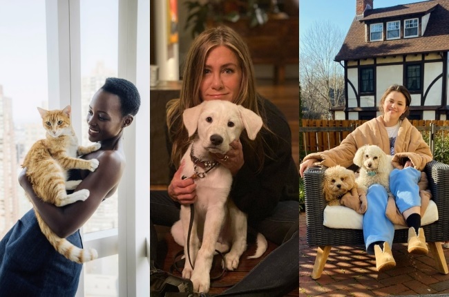 Celebs and their pets: how these cute fur babies help keep their famous ...