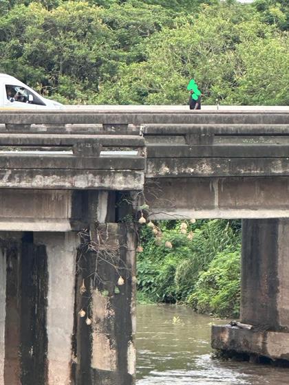 Bridge collapse on N2 near Amanzimtoti causes severe traffic ...