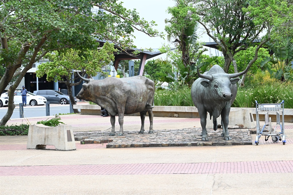 WATCH: King Shaka's statue unveiled | Daily Sun