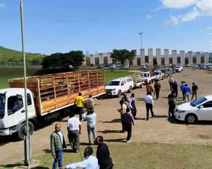 Church blesses Misuzulu with . . . | Daily Sun