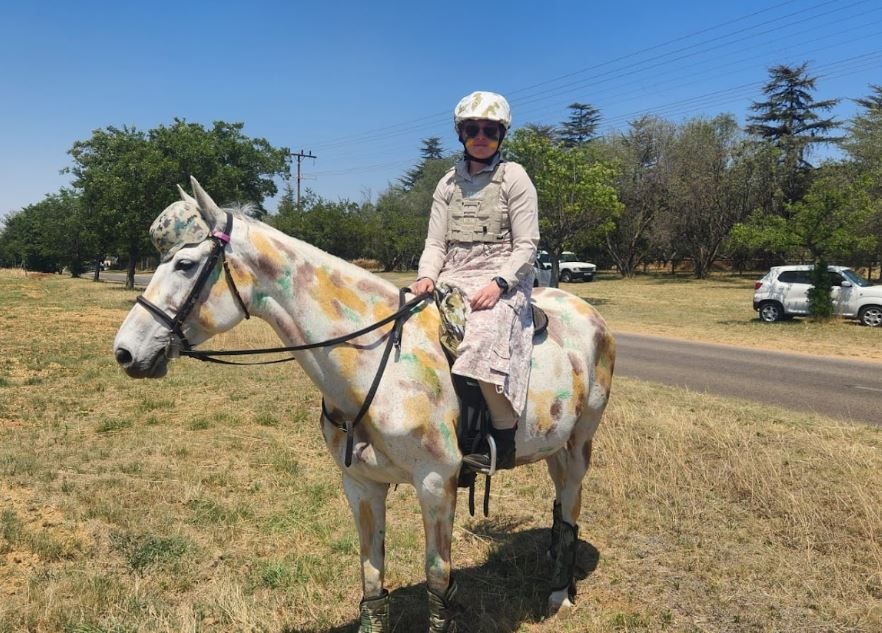 SEE | Cuteness galore: Costume-clad ponies and their enthusiastic ...