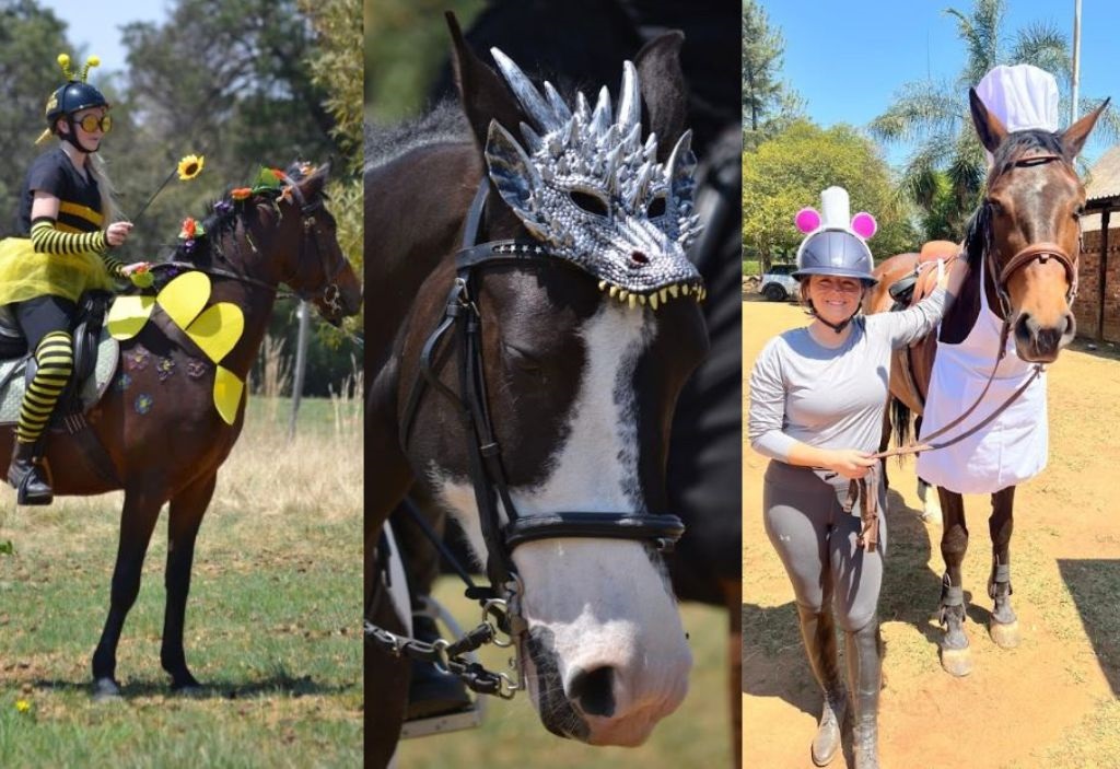 SEE | Cuteness galore: Costume-clad ponies and their enthusiastic ...
