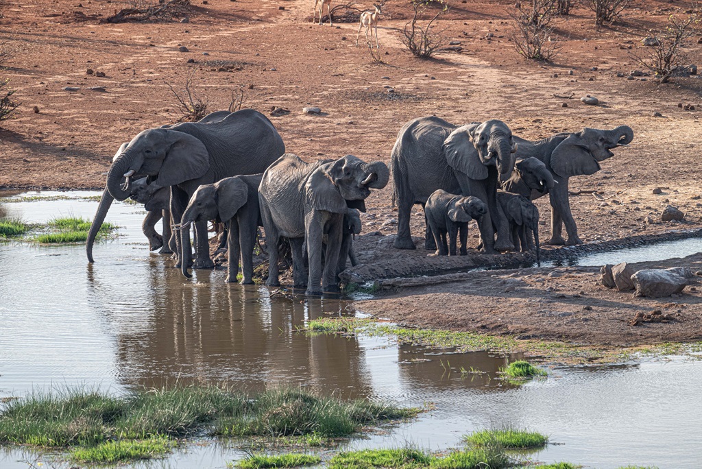 Die Victoriawaterval se versteekte skatte | Netwerk24