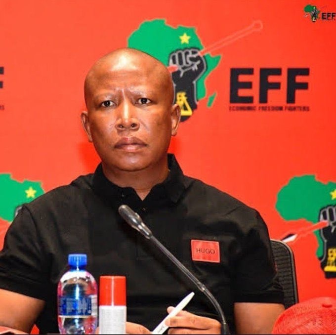 OPINION: Formerly overweight Julius Malema should think twice before ...