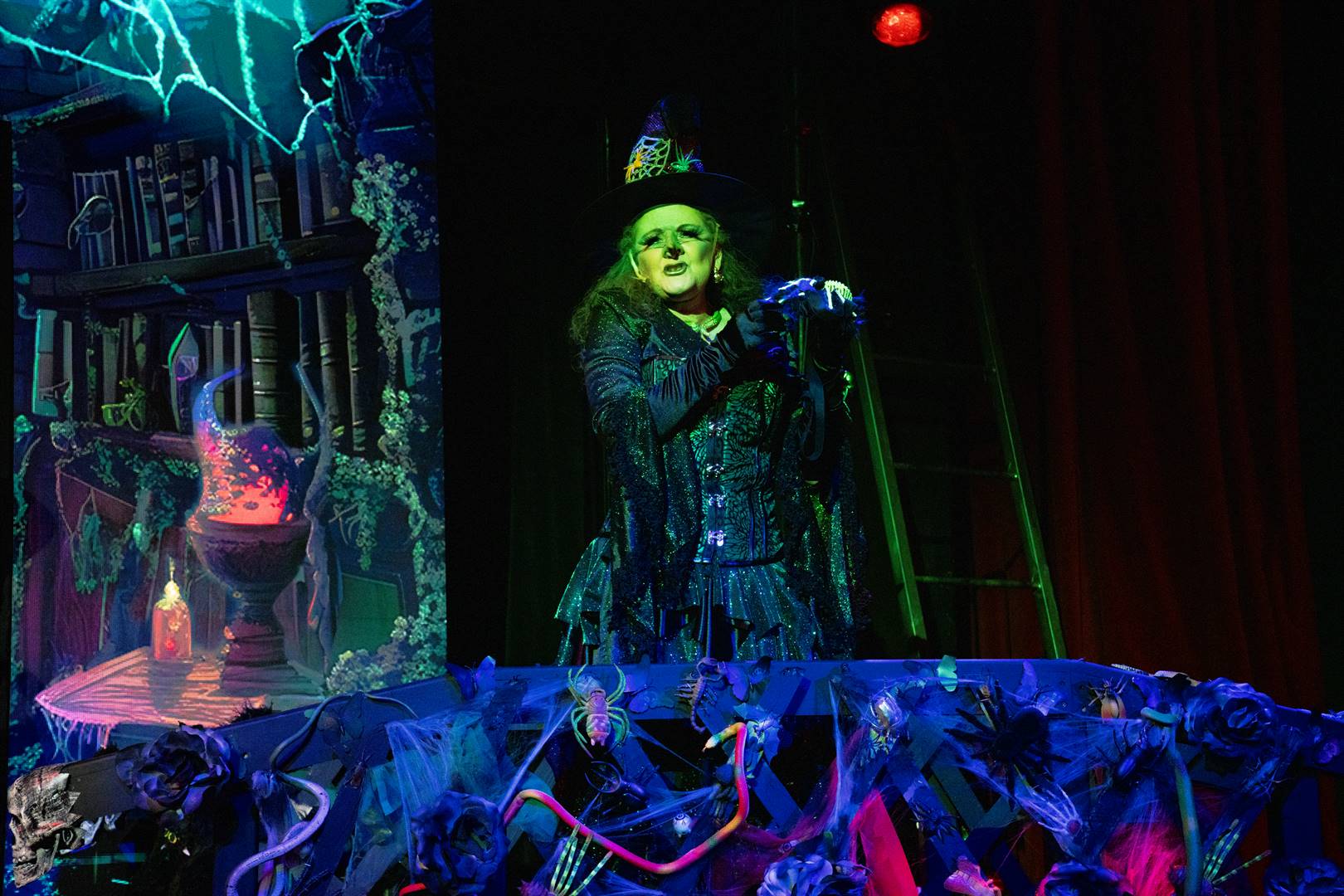 Ditchfield geniet dit om nare heks in pantomime ‘Beauty and the Beast ...