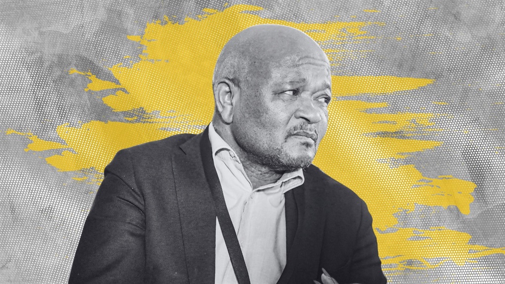 Cabinet Ratings 2024: Police Minister Senzo Mchunu | News24