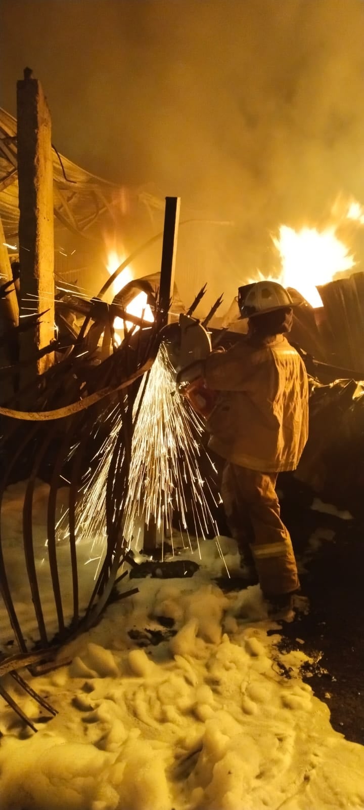 Brewery goes up in flames! | Daily Sun