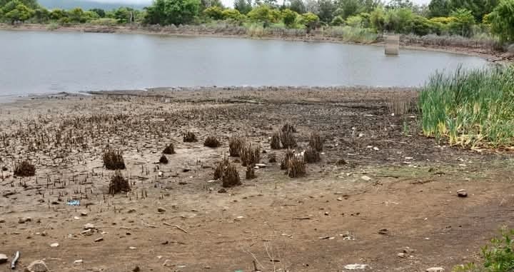 'Komani is a mess': From power outages to water woes, this Eastern Cape ...