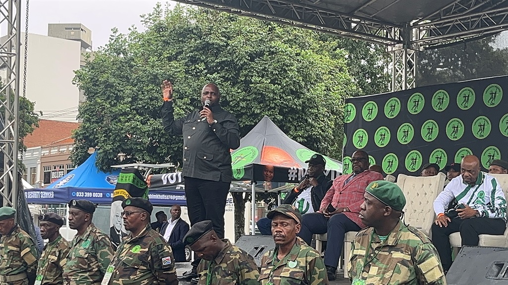 When Zuma was SANDF commander-in-chief, Africa respected SA, Shivambu ...