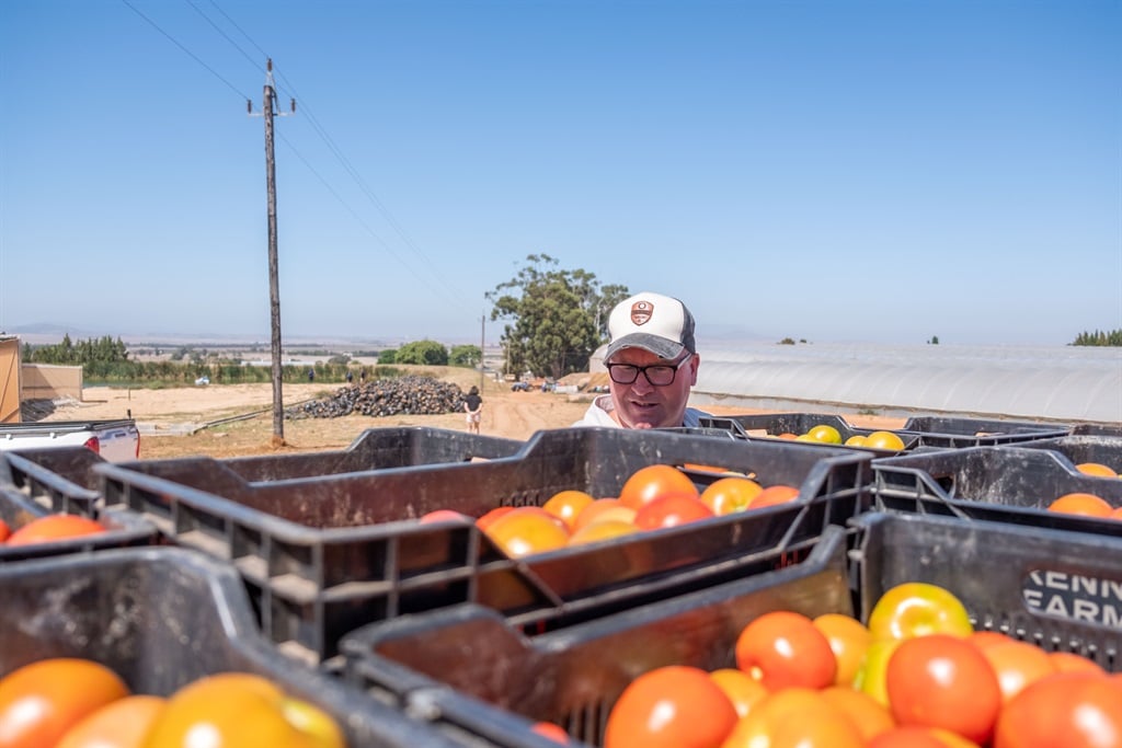 Growing smarter: the future of farming in action at Rennie Farms | News24