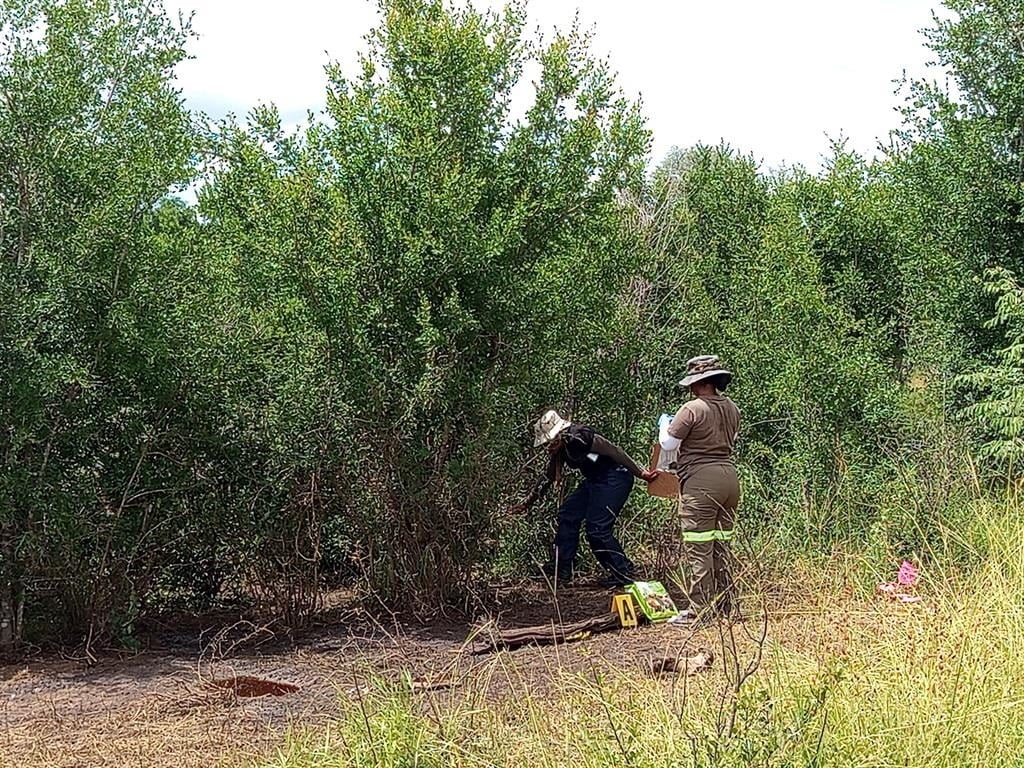 Battle against rhino poaching continues | Daily Sun