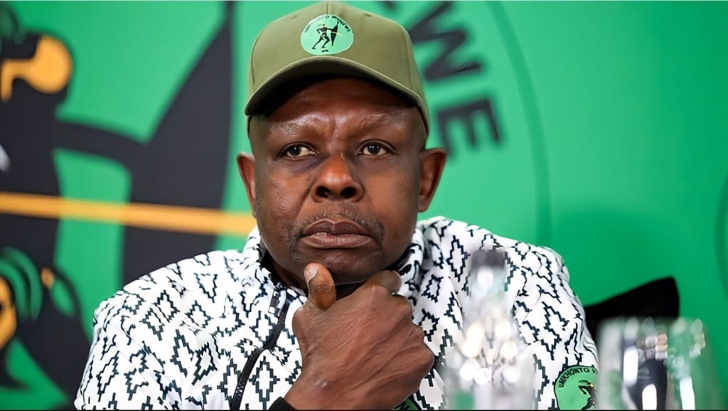 Mpofu: Hlophe is Mzansi's 'shadow president' | Daily Sun