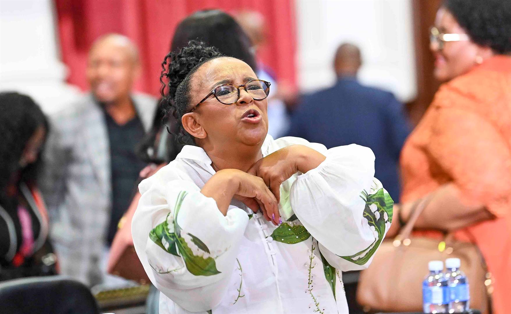 Vrystaatse premier vlieg DA in, sommer tot in die Wes-Kaap | Netwerk24