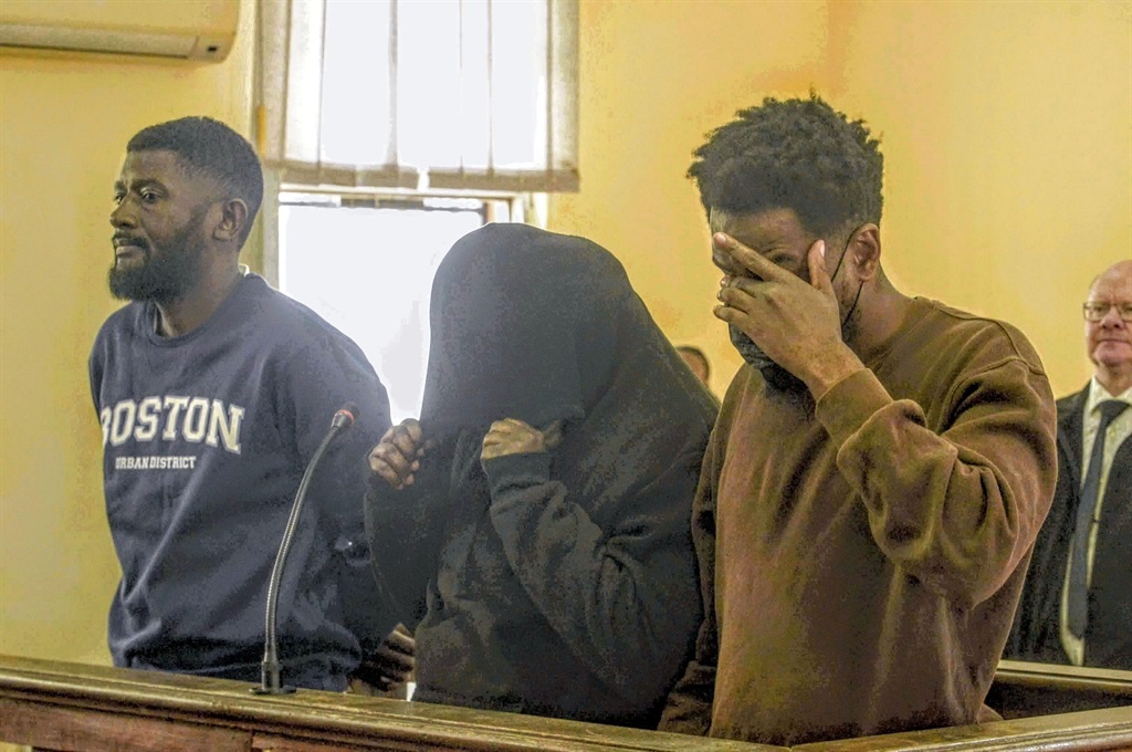 Phala Phala farm heist gang in court! | Daily Sun