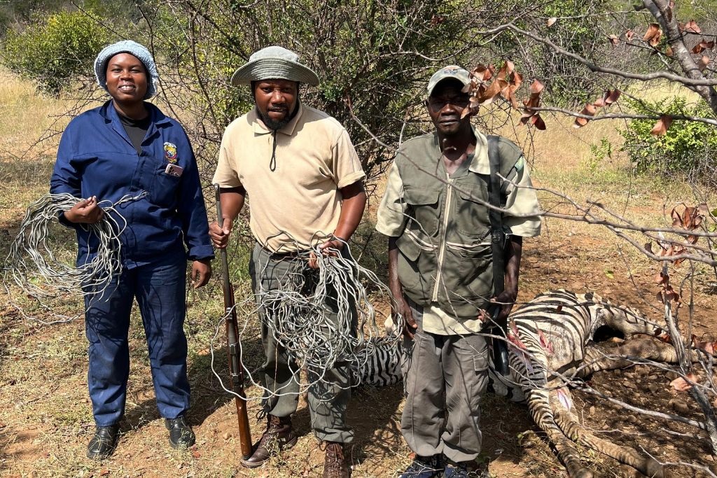 Turning traps into treasure: Jewellery made from snares helps in fight ...