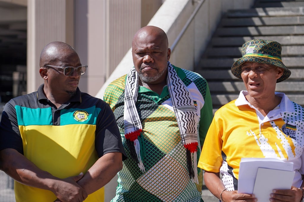 WATCH | ANC Western Cape appoints new caucus leader after member ...