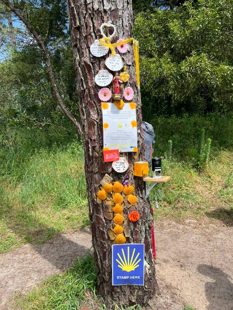 ‘Buen Camino!’ op die tweede skof van die pelgrimstog | Netwerk24