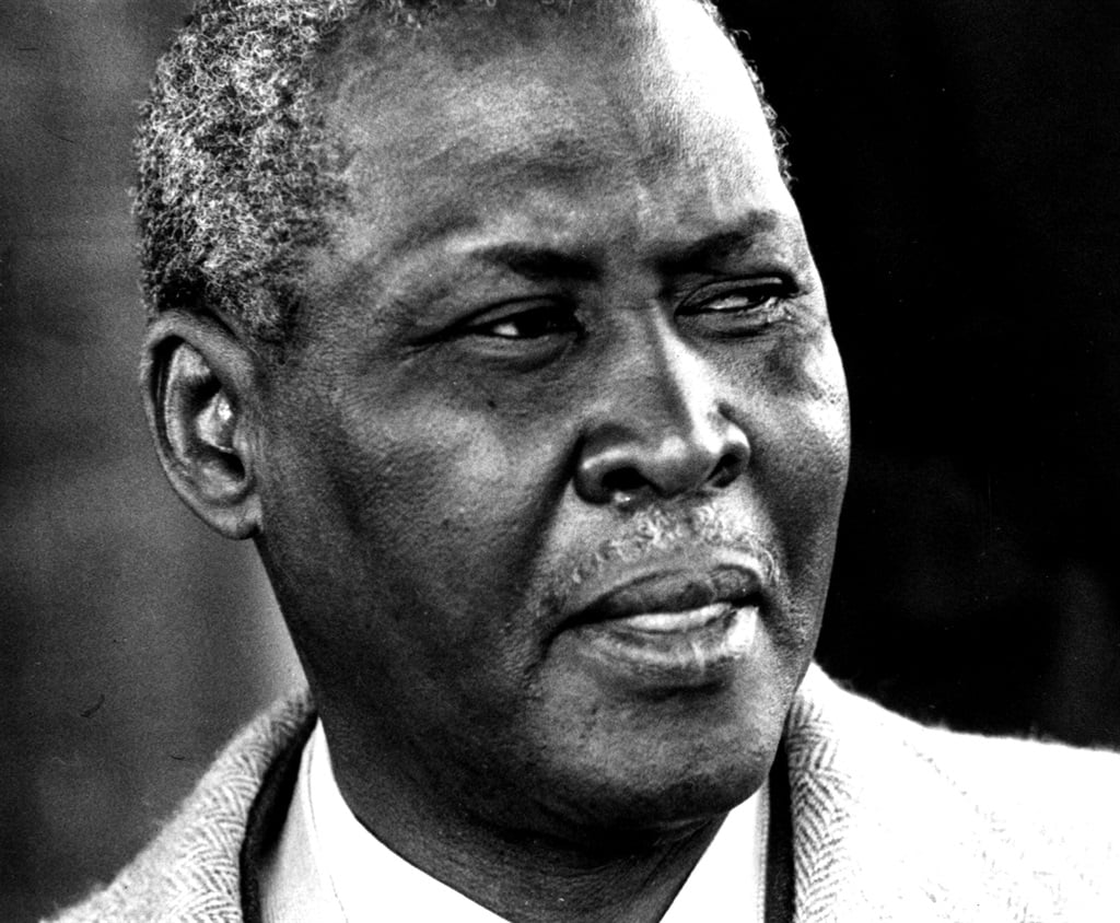 Jeff Radebe: Why I testified at the Albert Luthuli inquest | News24