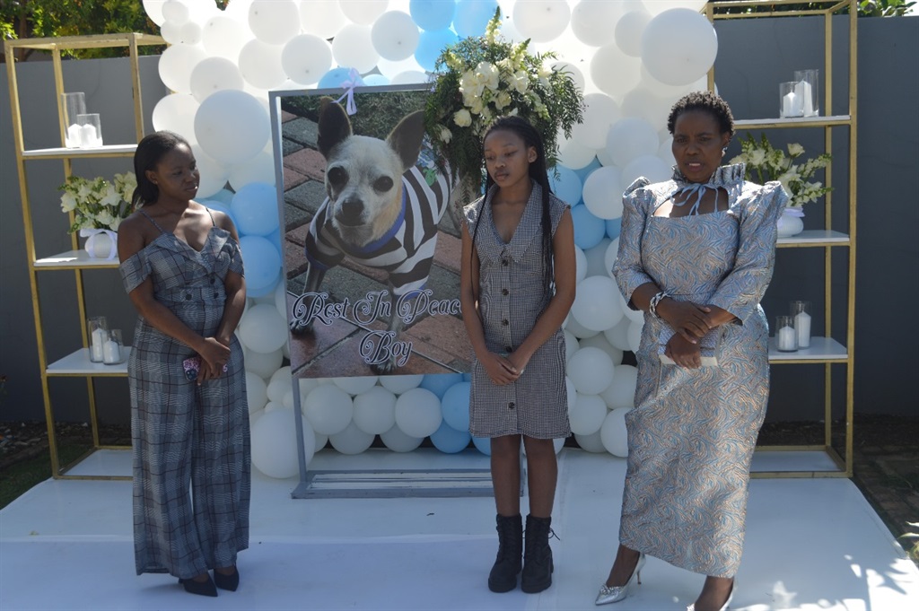 PICS: Fashion loving dog gets send-off fit for a human | Daily Sun