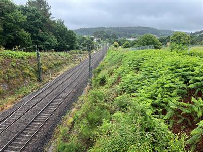 Portugese Camino-blog | Die laaste dag: 'Iets in my is anders' | Netwerk24