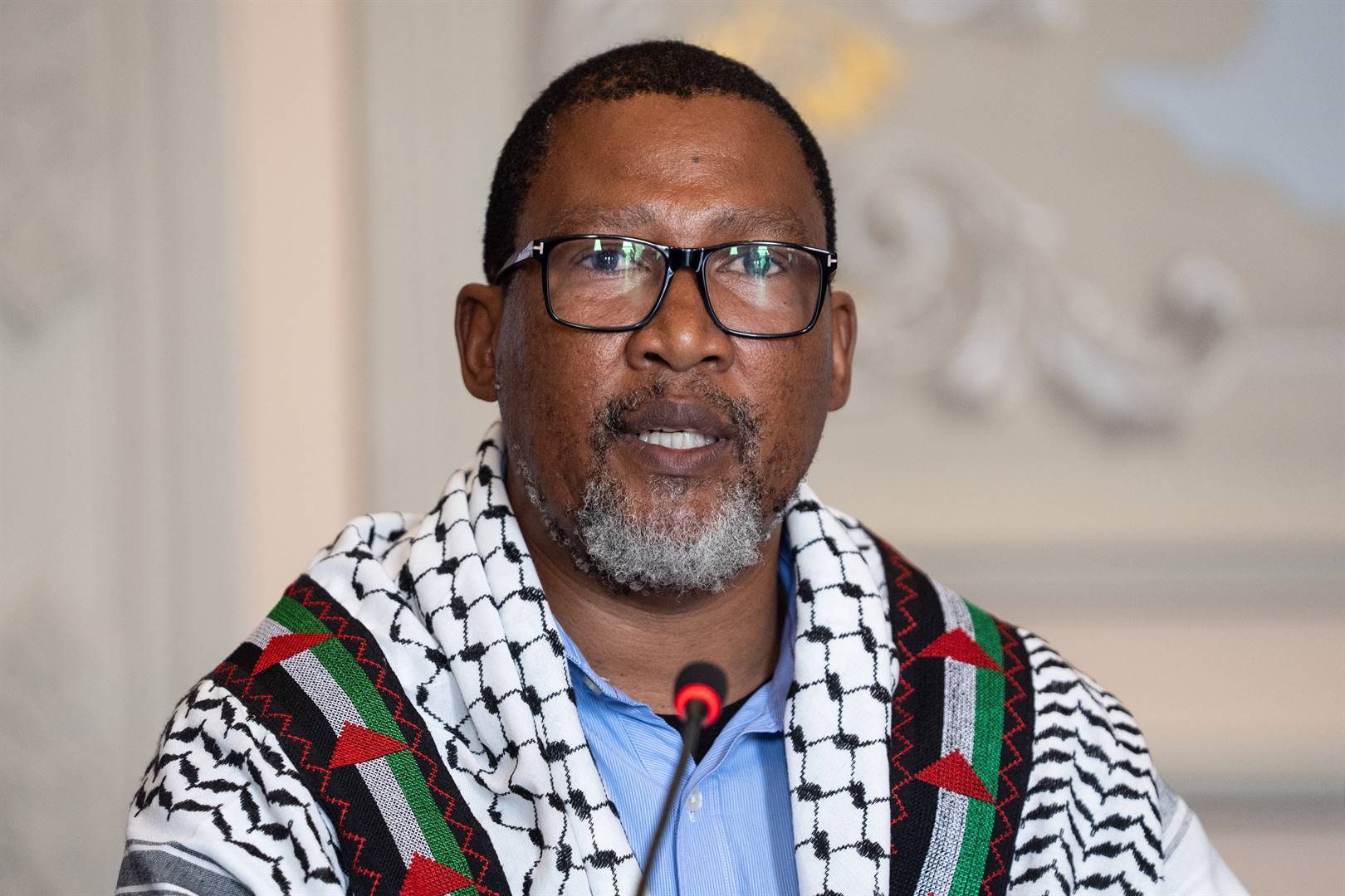 Mandla Mandela in Kaïro aangehou, bly vasberade om in Gasa te kom ...
