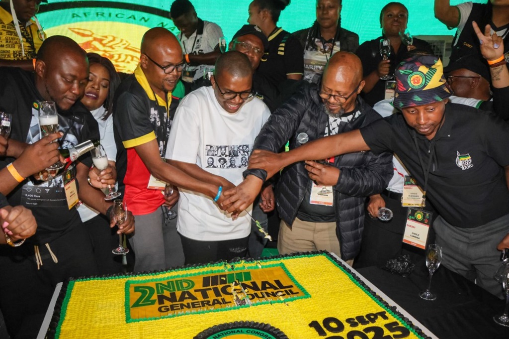 Mashatile: ANCYL is a political preparatory school | Daily Sun