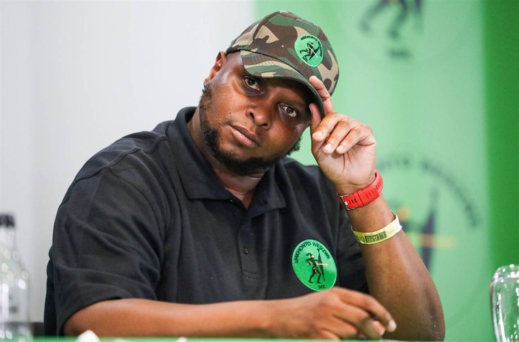 Shivambu: MK party is not tribalistic! | Daily Sun