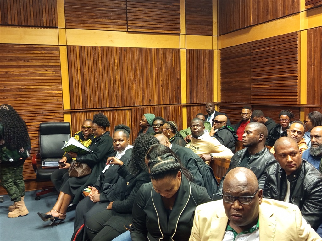 Court removes MK party's Phadi as leader | Daily Sun