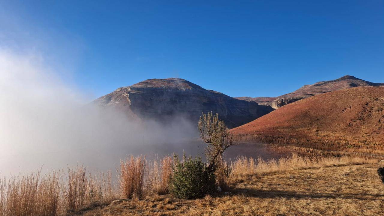 LESERSFOTO | Die veld skyn ougoud in Golden Gate | Netwerk24