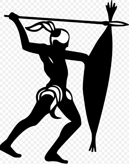 Trademark war: ANC vs MK party logo dispute goes to court | Daily Sun