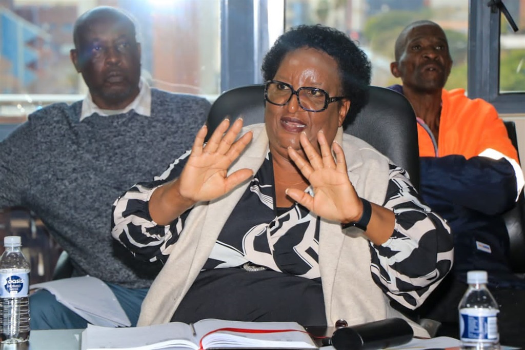 MEC: End this taxi violence NOW! | Daily Sun