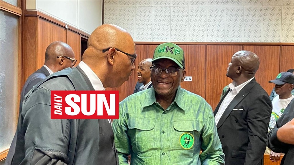 Duduzile used her status to incite violence, court hears | Daily Sun