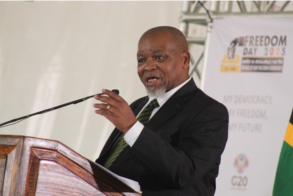 DOCK OF SHAME: Top MZANSI politicians caged by the law in 2025 | Daily Sun