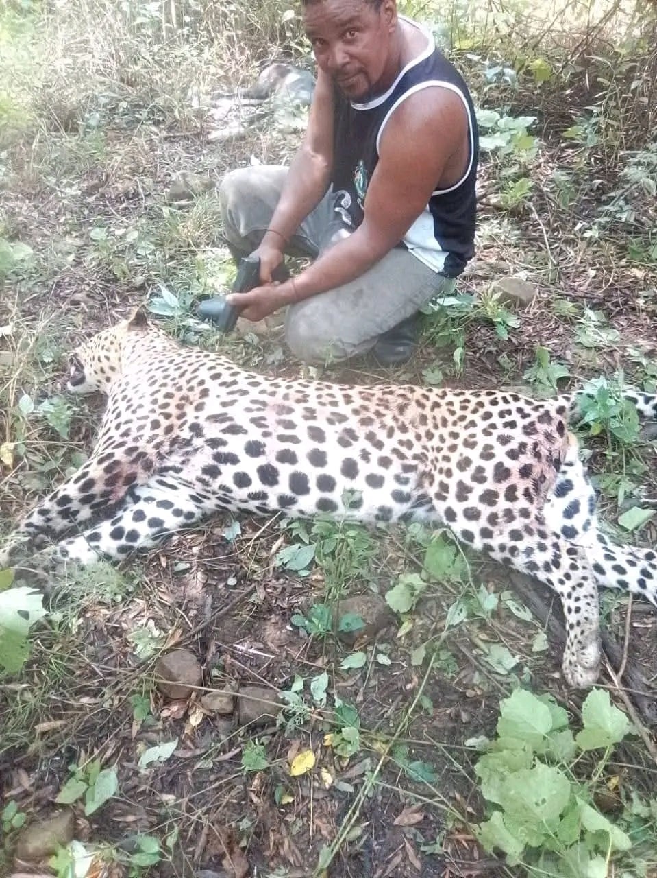Brave man gets royal reward for killing leopard! | Daily Sun