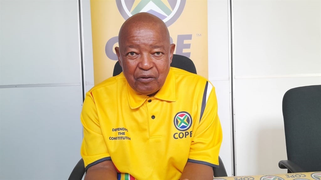 Lekota awarded category 2 funeral | Daily Sun