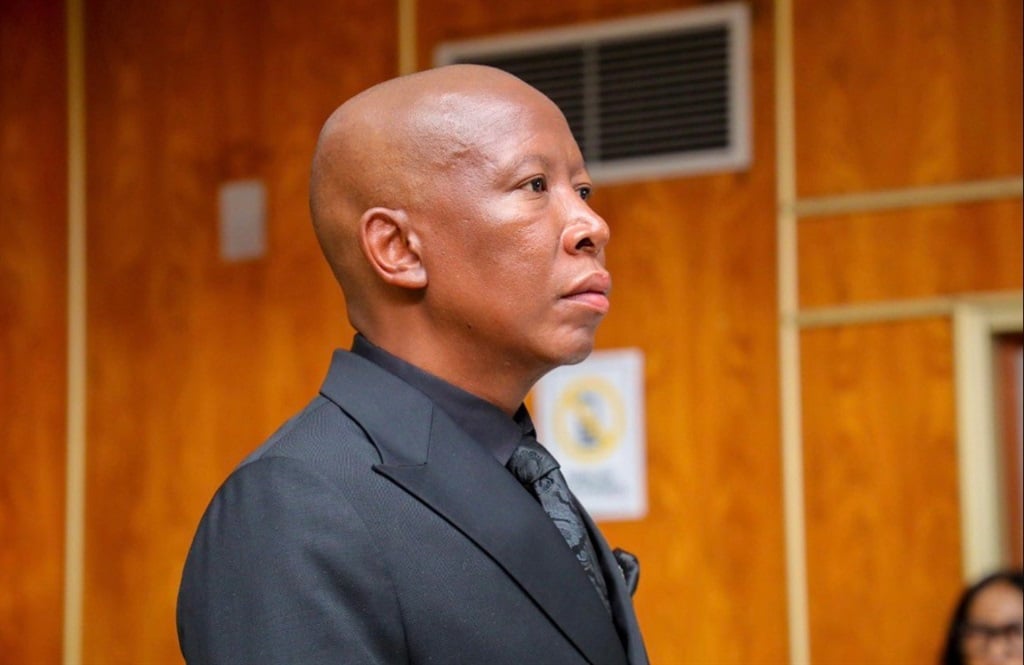 Malema hauled before court, again over 'Hate Speech' | Daily Sun