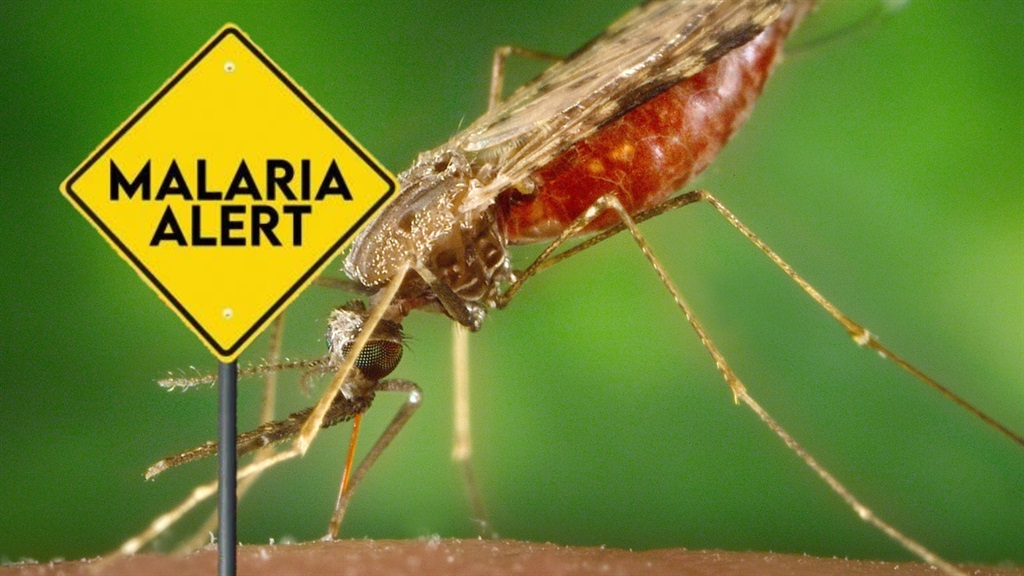 Health dept warns as Malaria deaths spikes! | Daily Sun