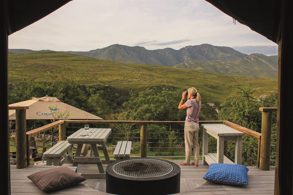 Go glamping in Grootvadersbosch | News24
