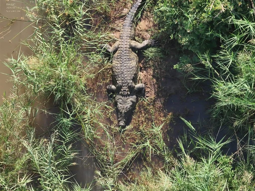 Crocs block river hunt for missing man! | Daily Sun