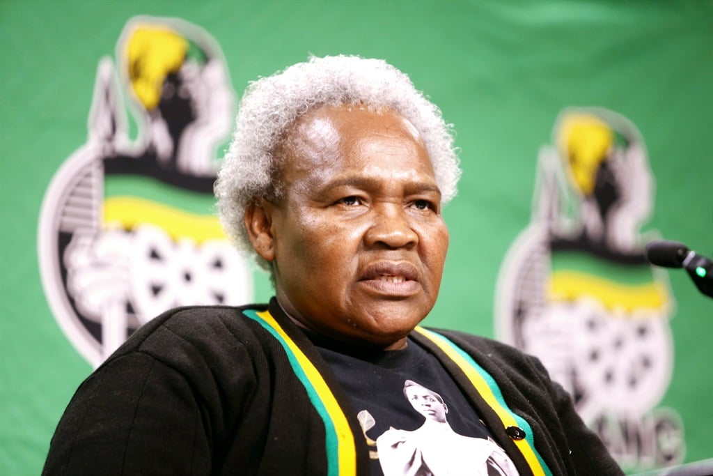 CV scandal rocks minister! | Daily Sun